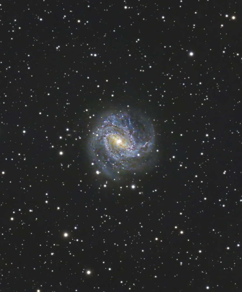 M83 - Southern Pinwheel Galaxy | Focal World