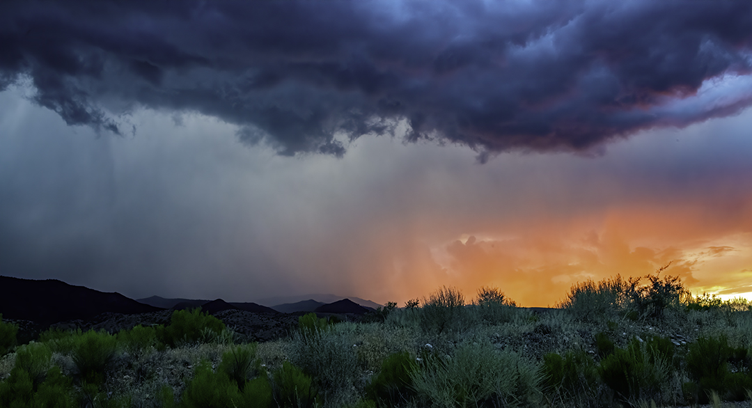 The Monsoon Thunderstorms are Finally Here. | Focal World