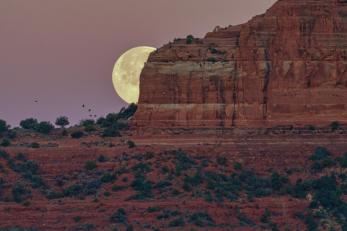 Moon Set | Focal World