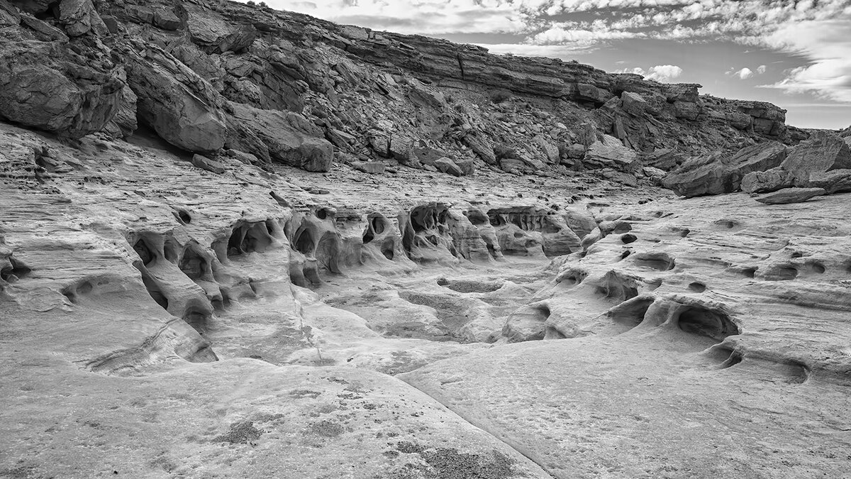 Neilson Wash | Focal World