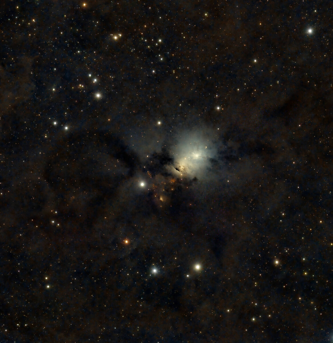 NGC1333 | Focal World