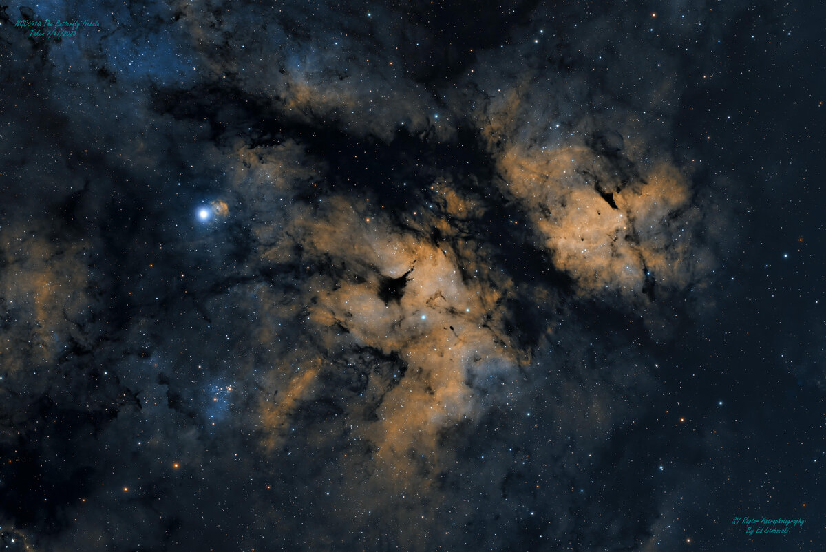 Butterfly nebula (take 2) | Focal World