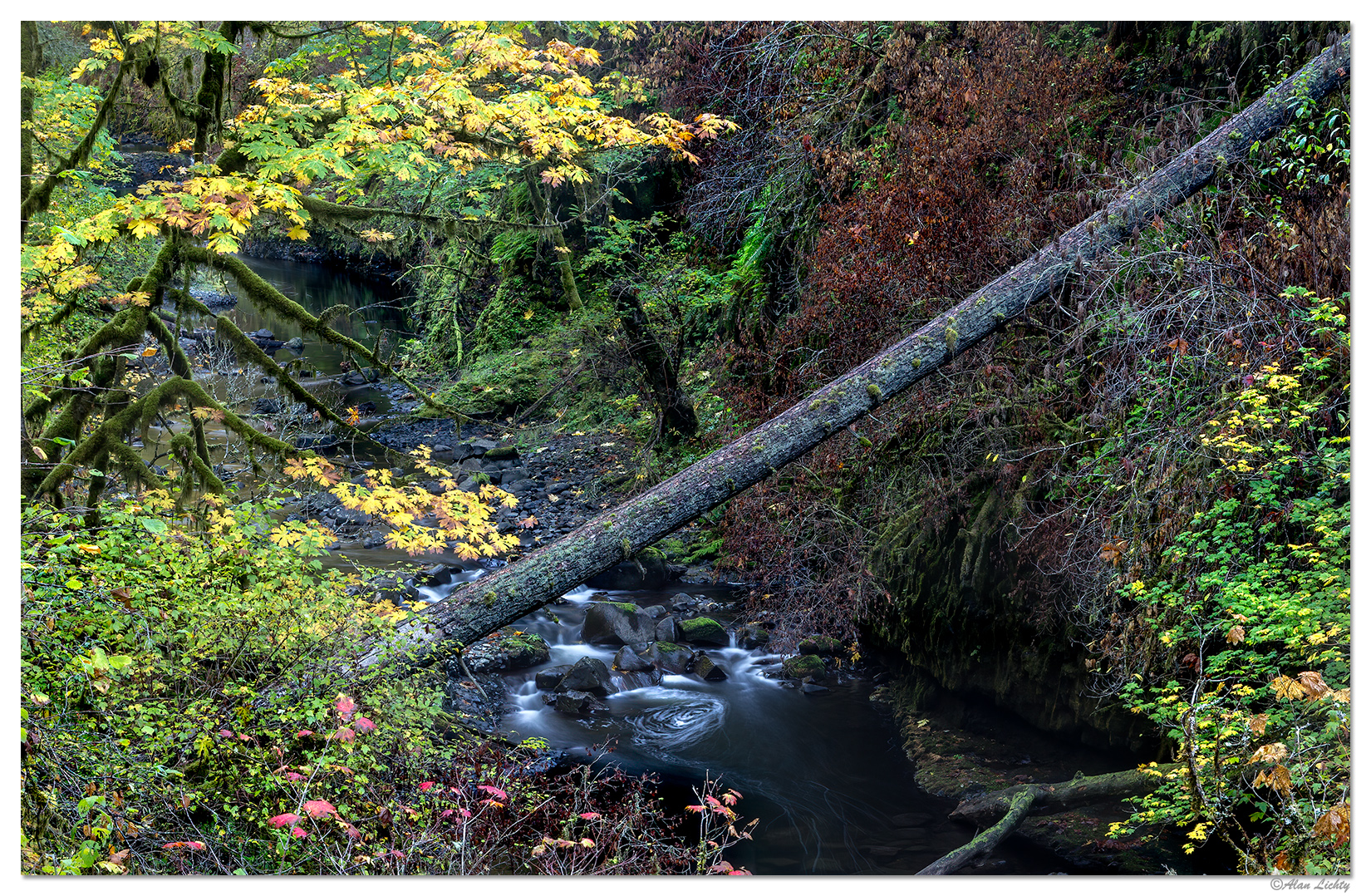 North Fork Trail | Focal World