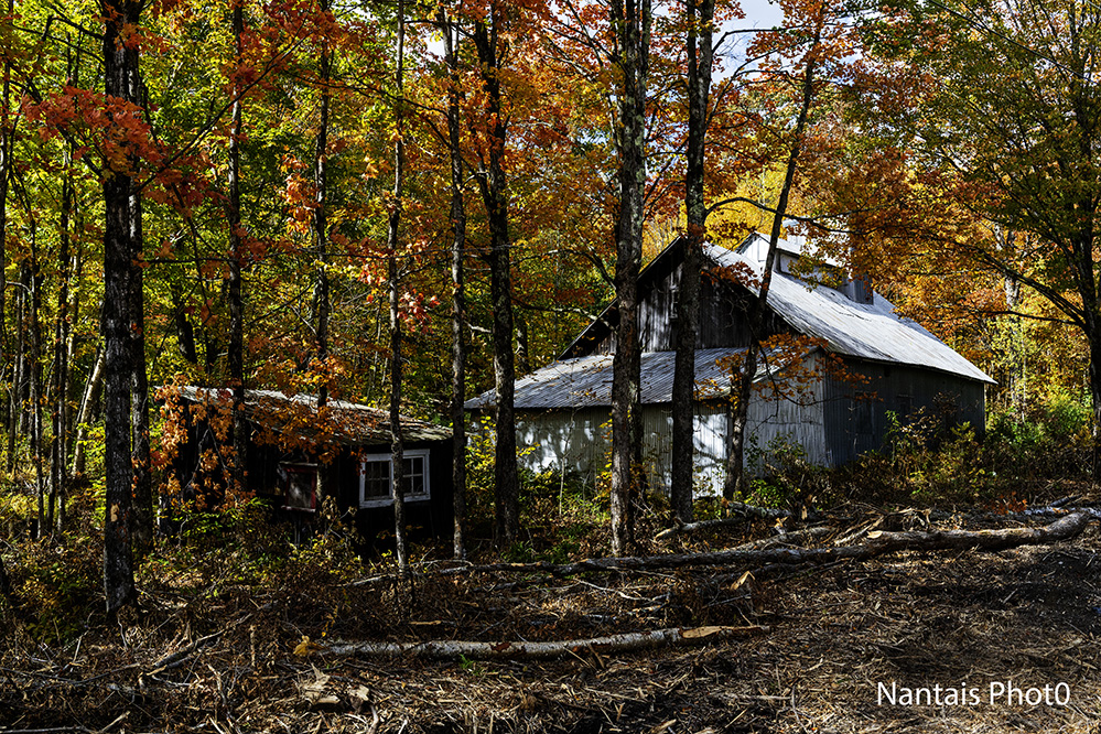 Old maple syrup barn... | Focal World