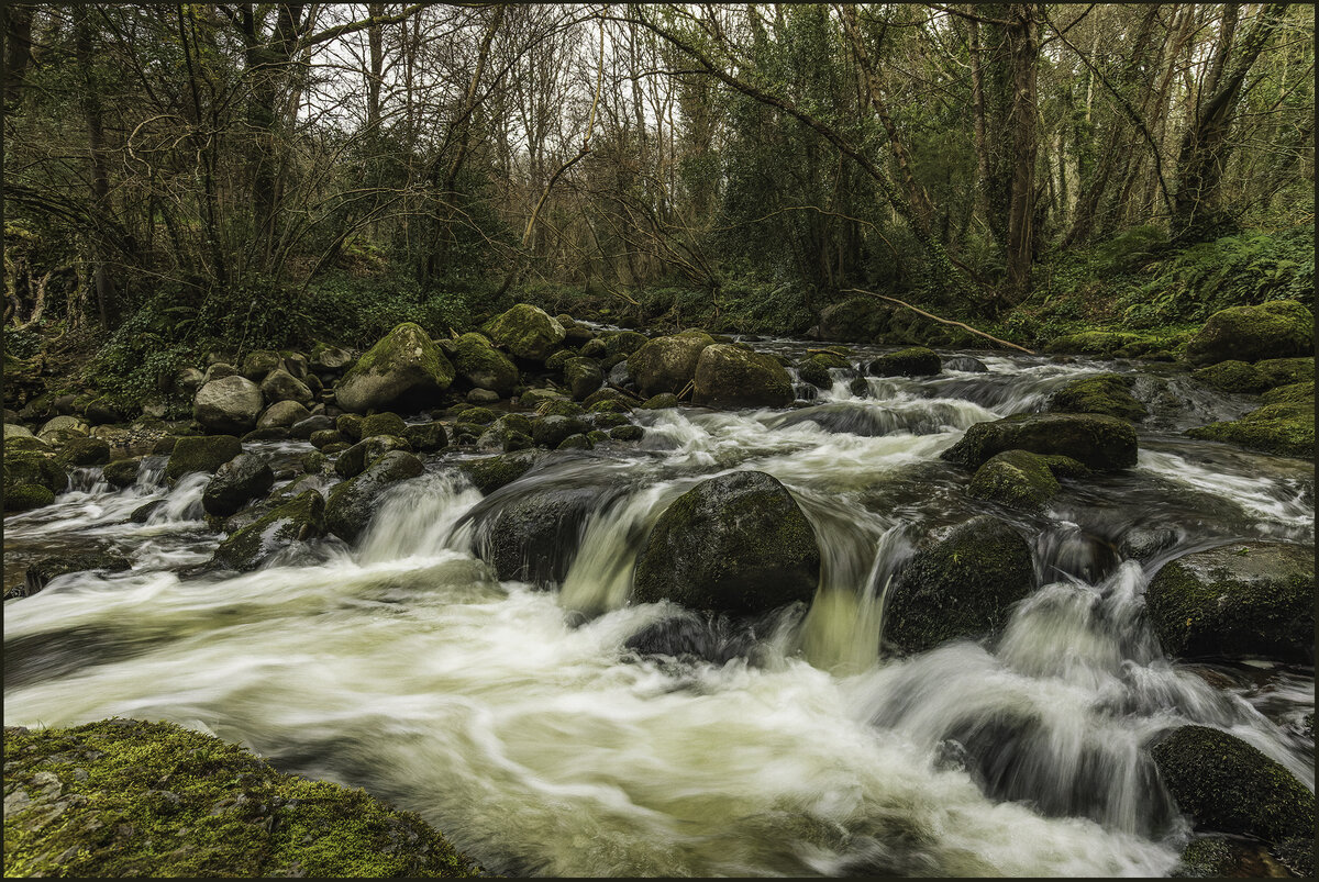 One Rock, three views, personal challenge | Focal World