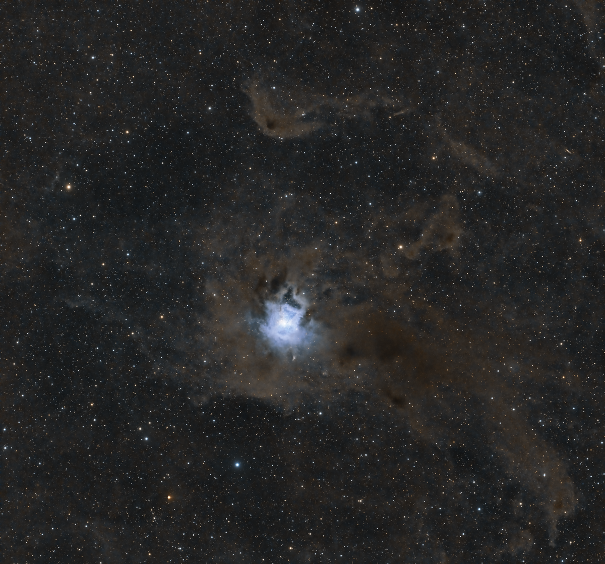 NGC 7023 | Focal World