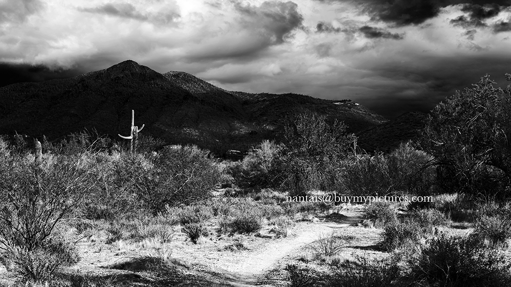 A cool Arizona landscape... | Focal World