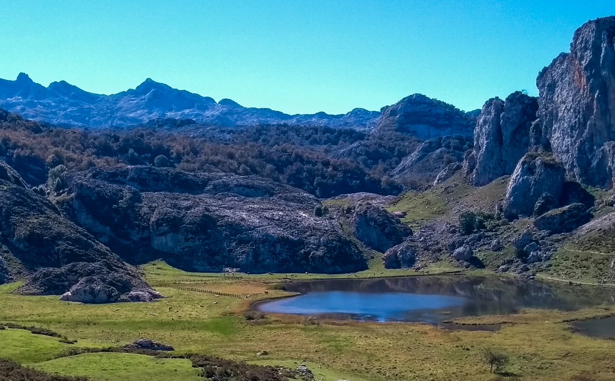 Ola from Spain | Focal World