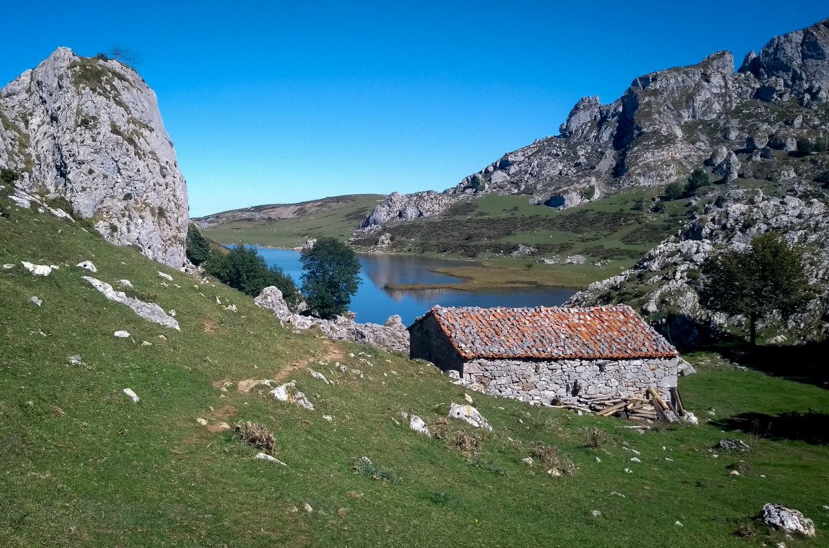 Ola from Spain | Focal World