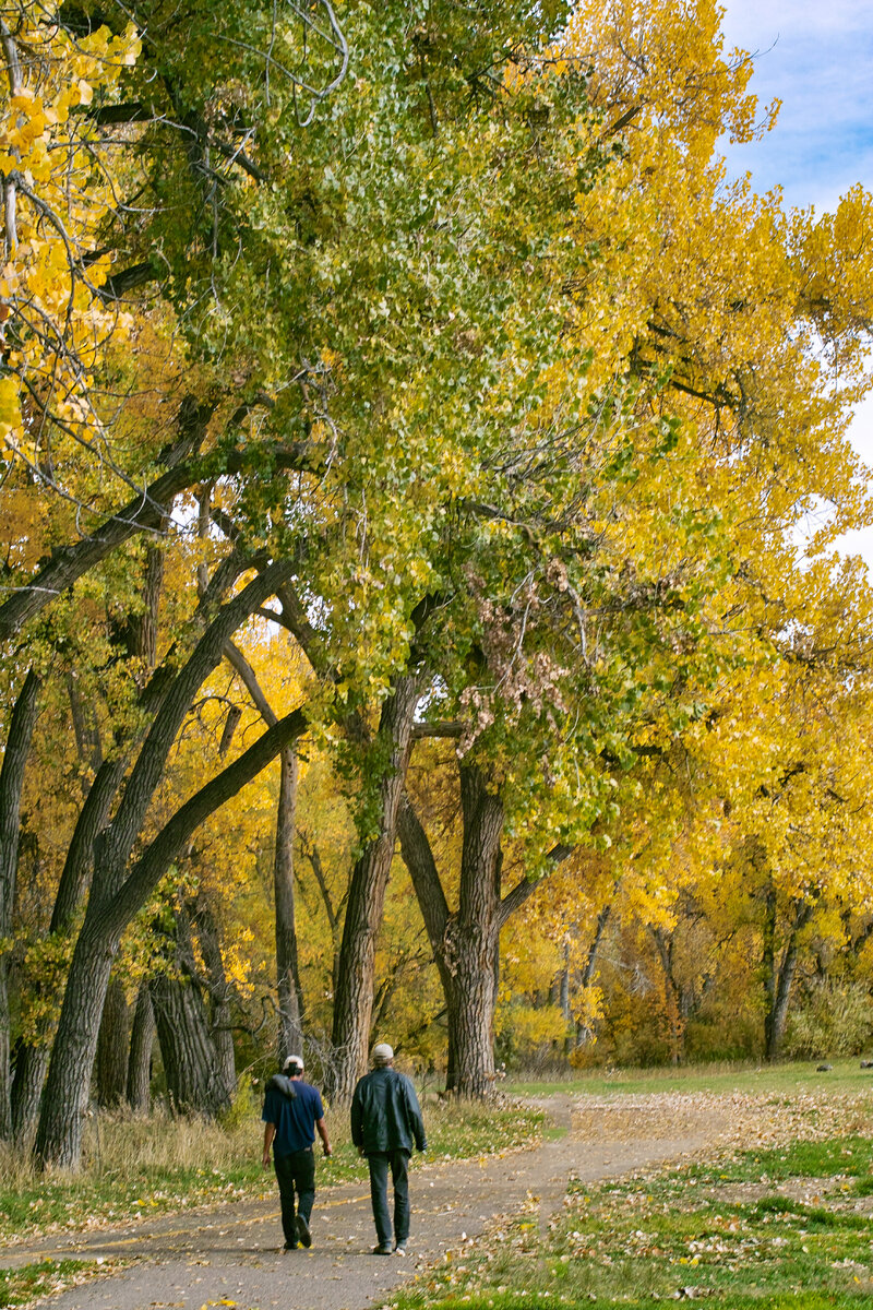 A Fall Walk in the Park | Focal World