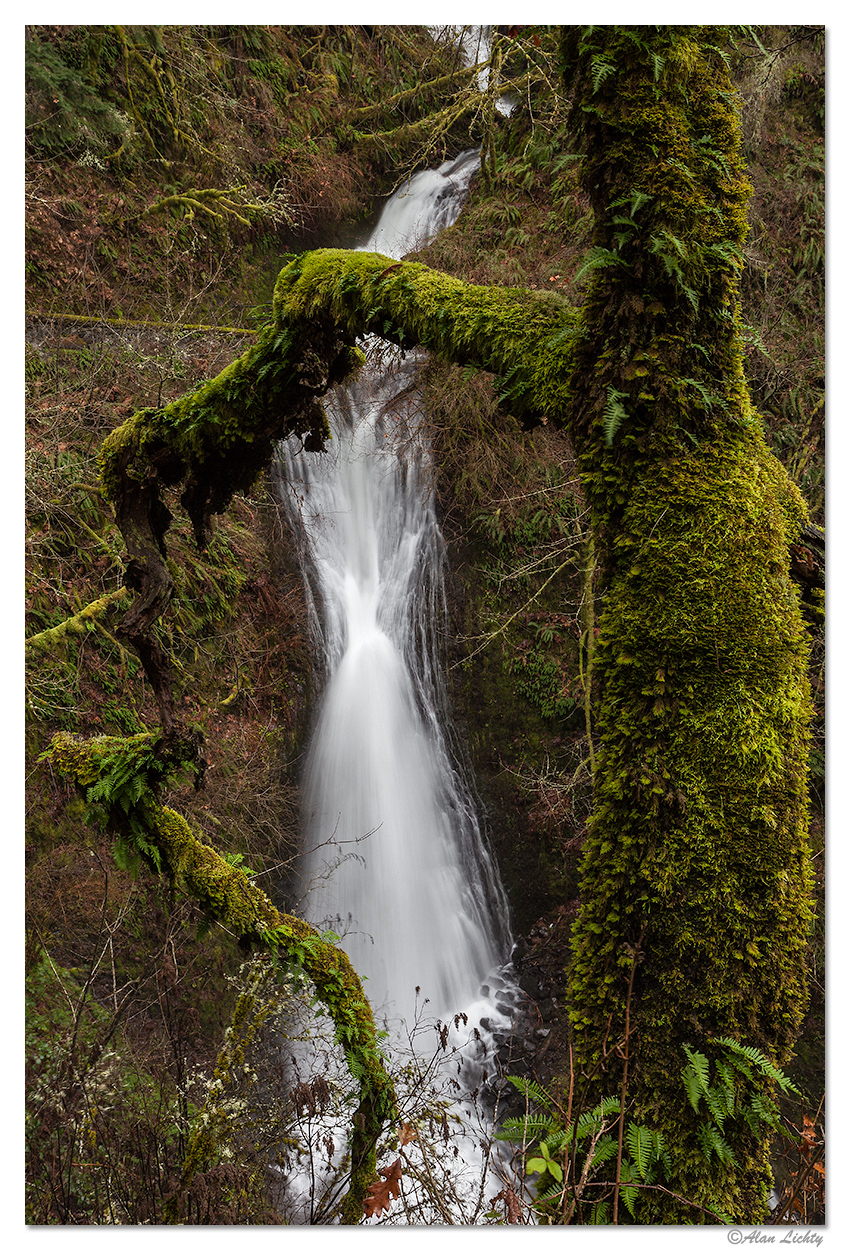 Waterfall Wednesday 7/1/2020 | Focal World