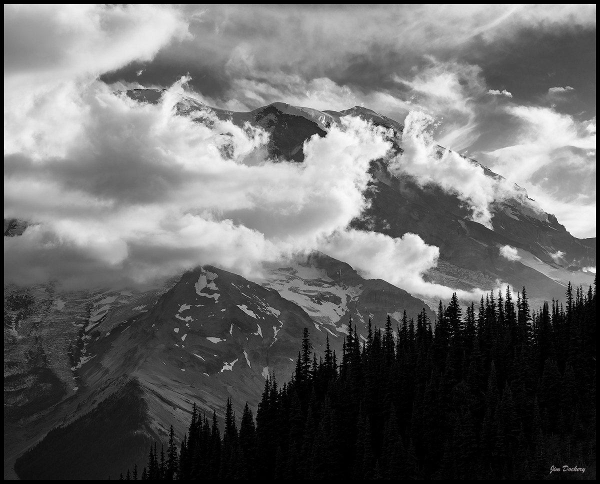 Mt. Rainier from The Silver Forest | Focal World