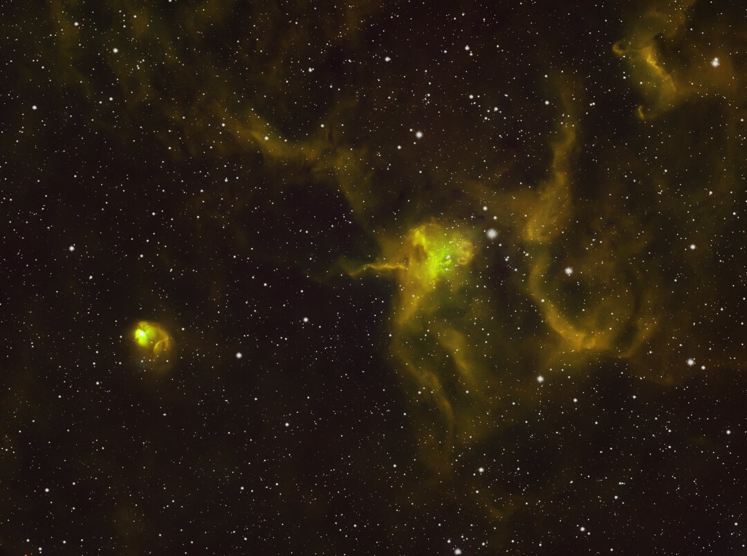 The Spider and The Fly | Focal World