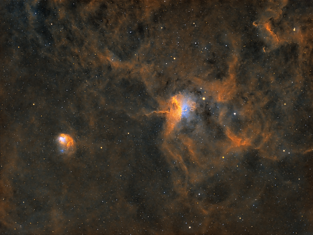 The Spider and The Fly | Focal World