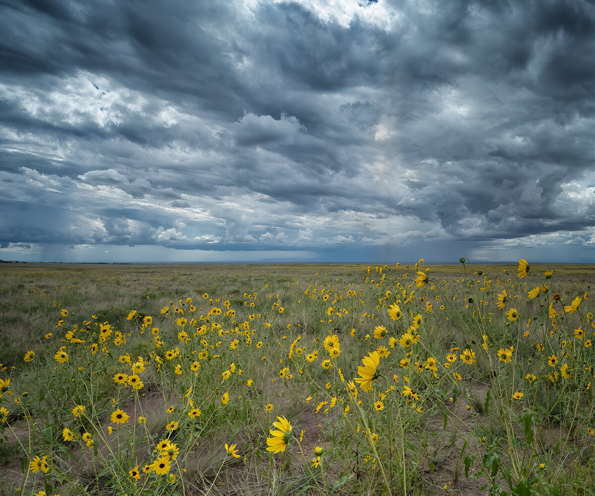 Sunny Colorado | Focal World