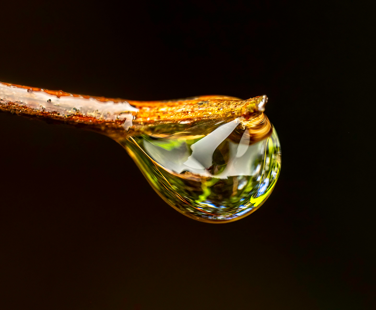 Water drop reflection. | Focal World