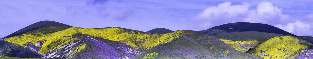 Temblor Range, CA | Focal World
