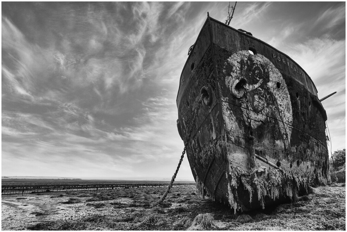 Couple of Wrecks | Focal World