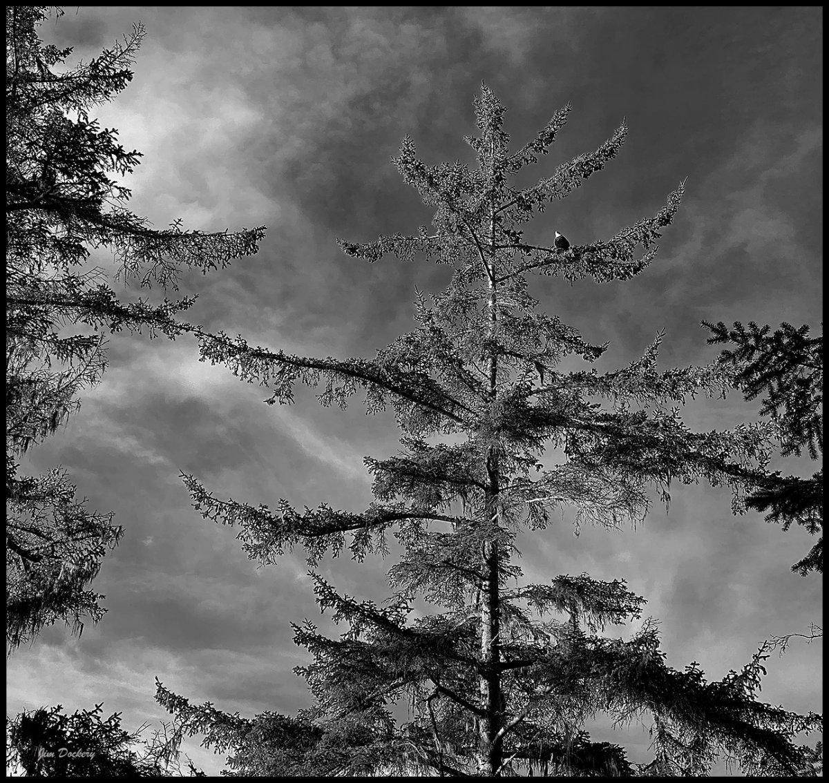 Deception Pass | Focal World