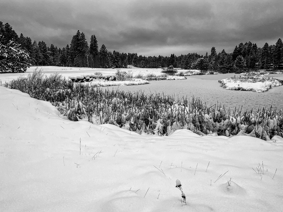 Winter Scene, Central Oregon | Focal World