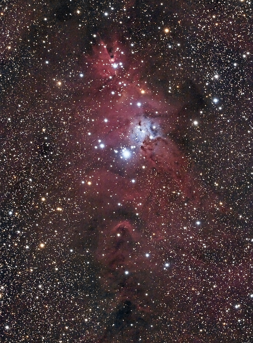 Christmas tree nebula | Focal World