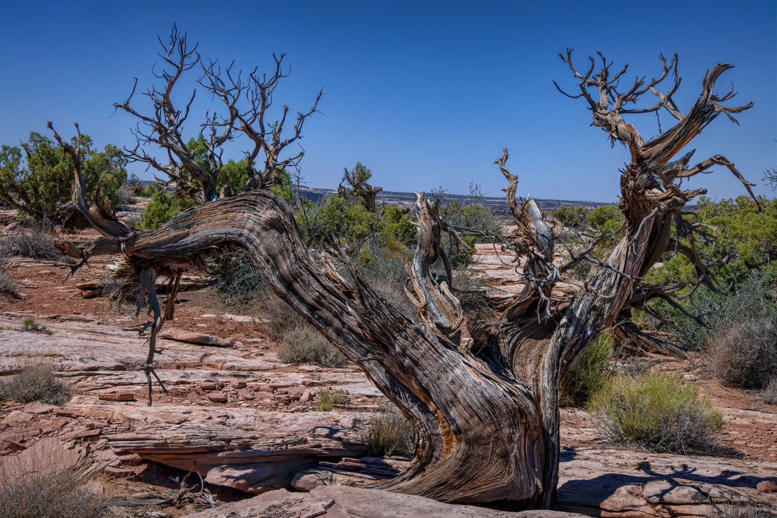 210506-24507-R5 stacked.jpg | Focal World