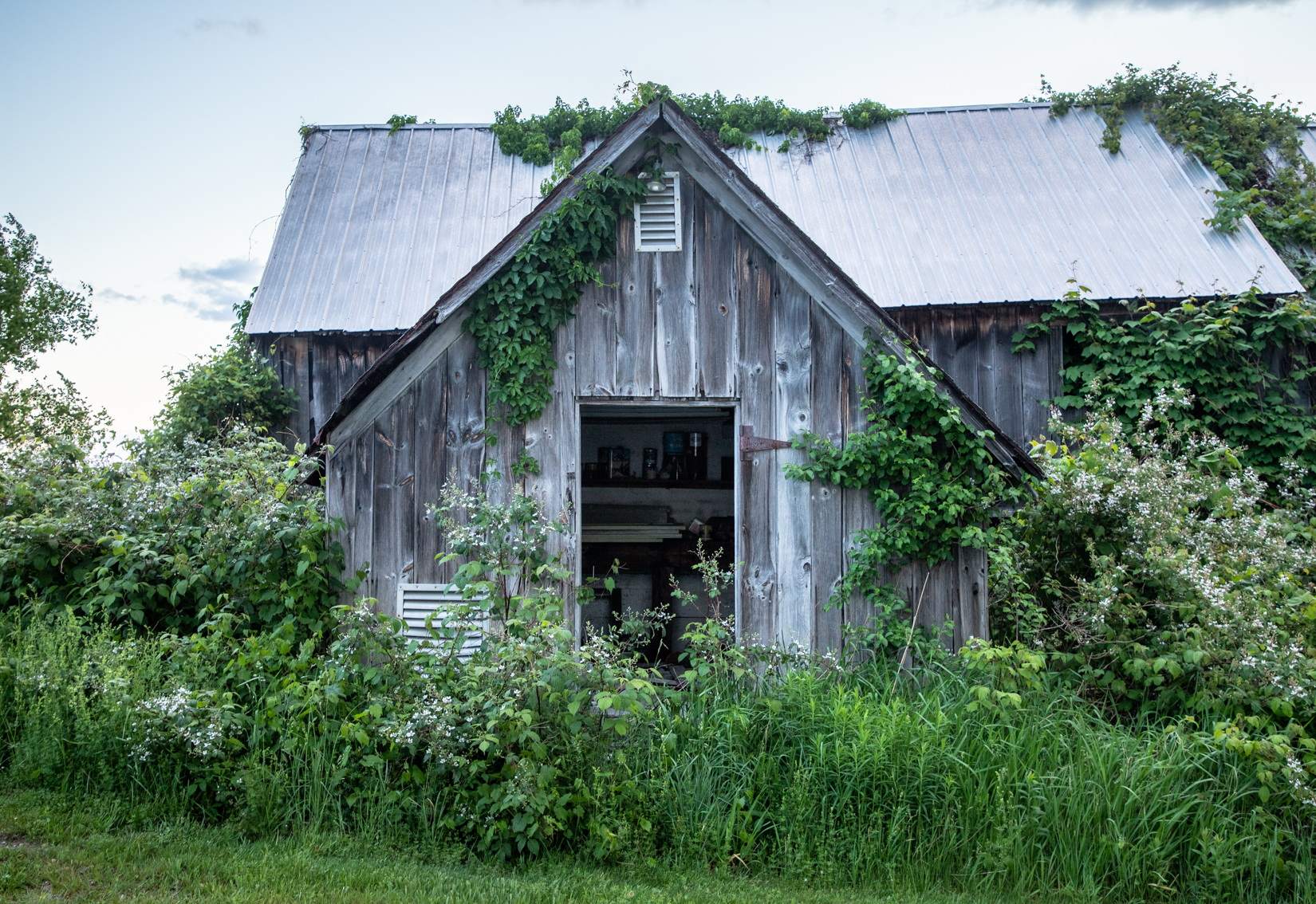 Abandoned Farm II | Focal World