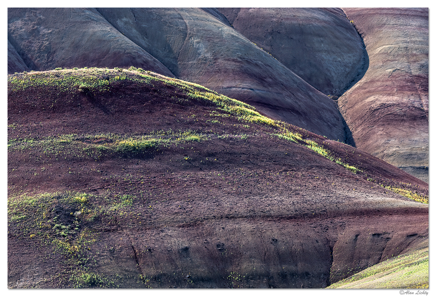 Painted Hills in the Spring | Focal World
