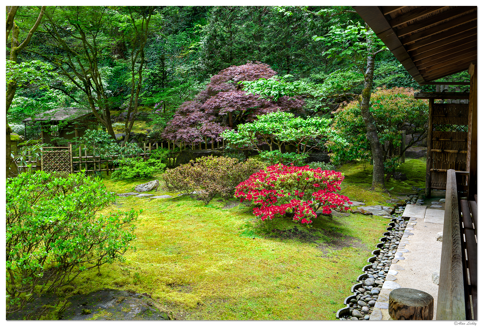 PJG-TeaHouseGarden.jpg | Focal World
