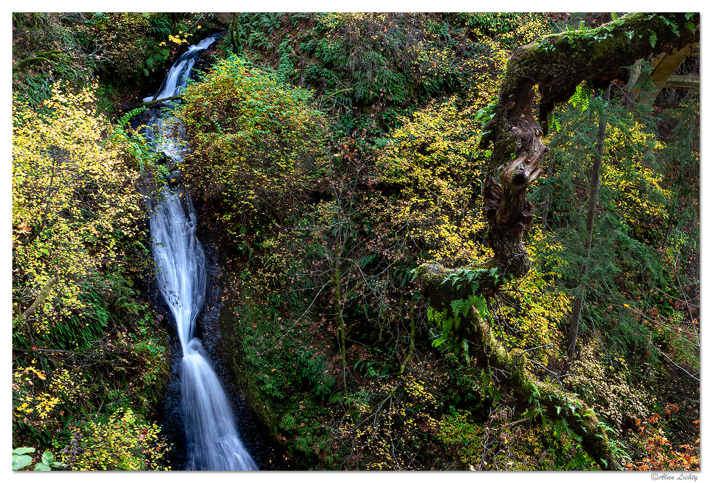 Shepperds Dell Fall07 | Focal World