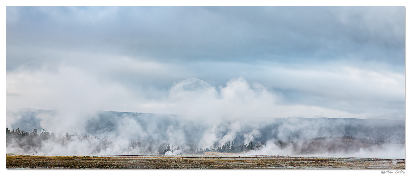 Hot Times in a Cool Forest +Edit | Focal World