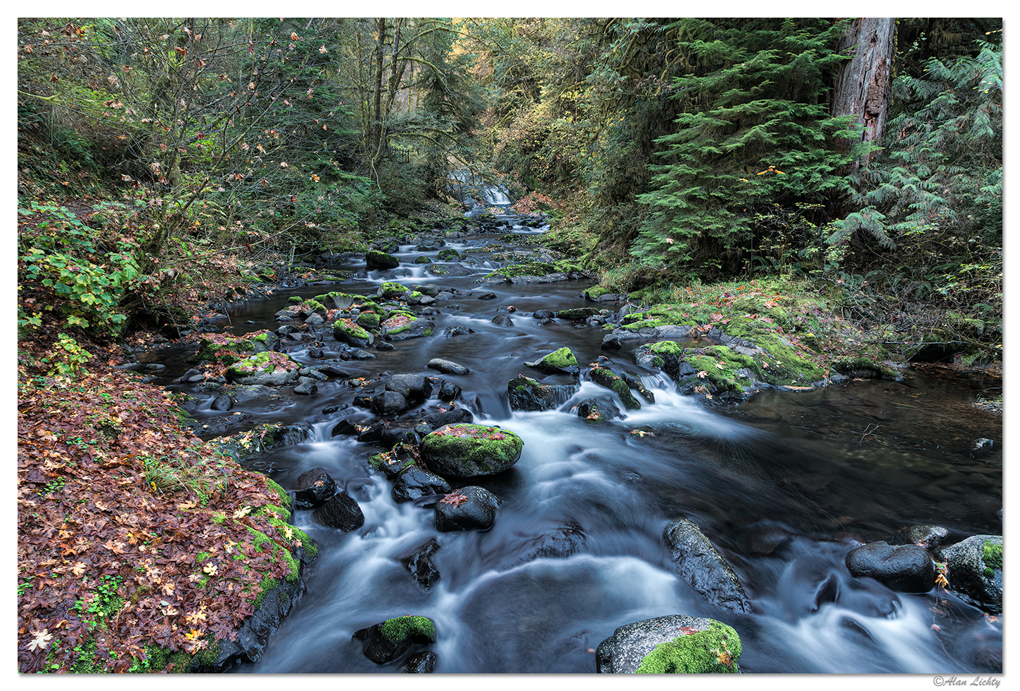 Sweet Creek - Fall 2019 | Focal World