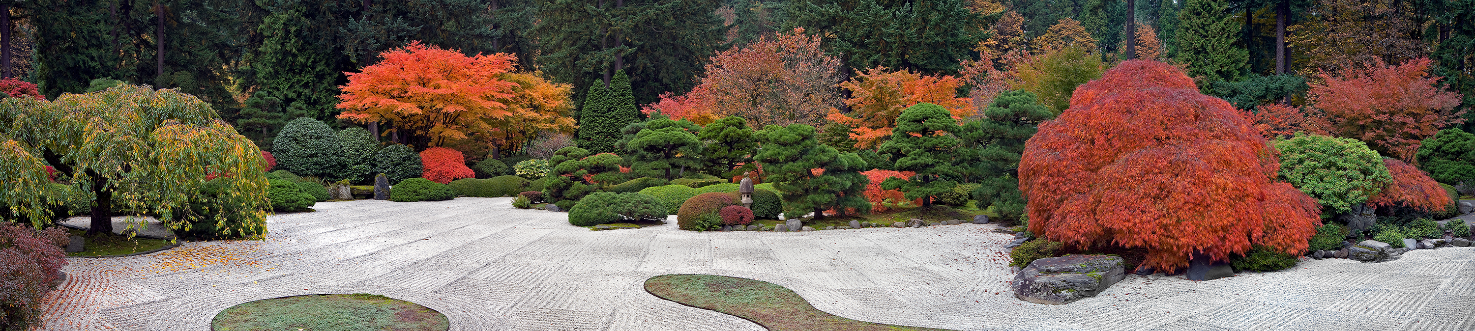 The Wide View | Focal World